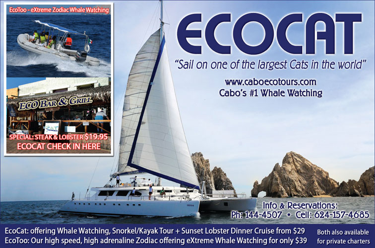 Ecocat -Ad Proof - Los Cabos Magazine Issue 29 - Cabo San Lucas
